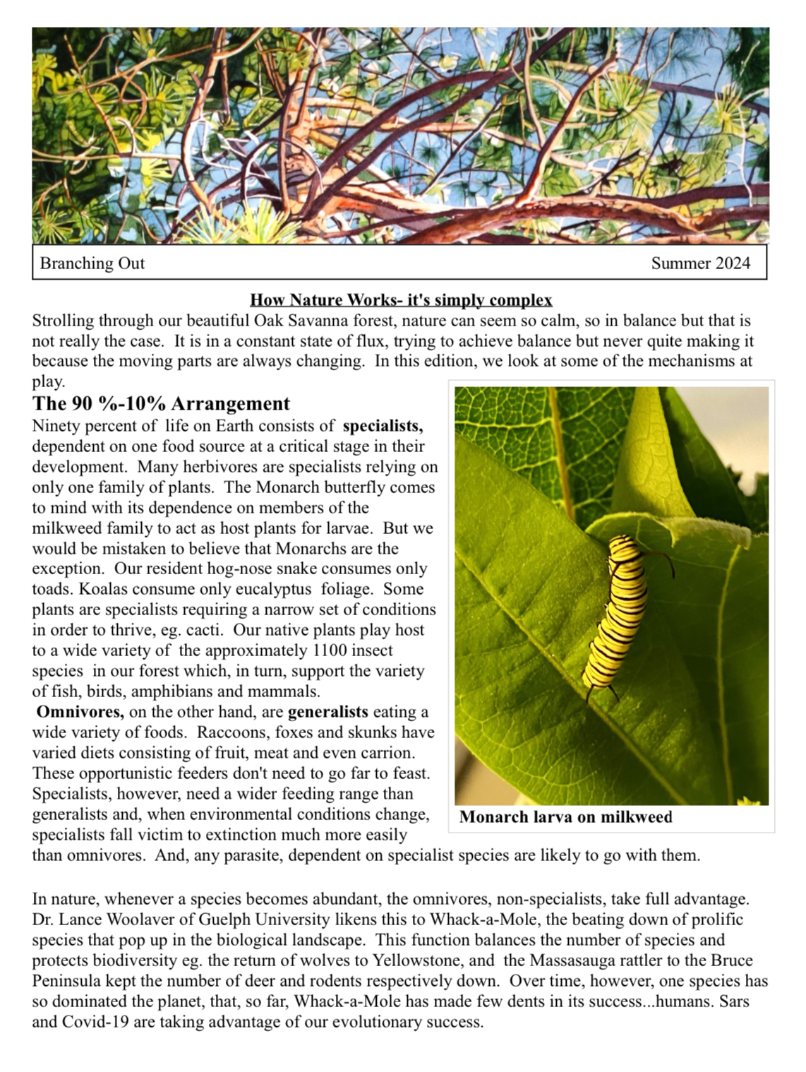 Branching Out Summer 2024 Edition – Huron Woods Community Association